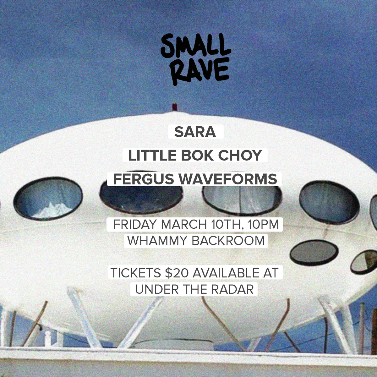 Small Rave - Sara/ Little Bok Choy/ Fergus Waveforms – SMALL RAVE